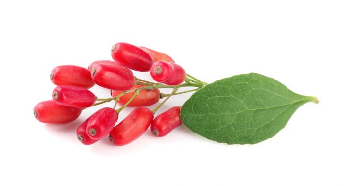 The Buzz About Berberine (Great Metabolism Booster!)